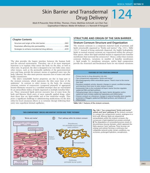 Skin Drug Administration