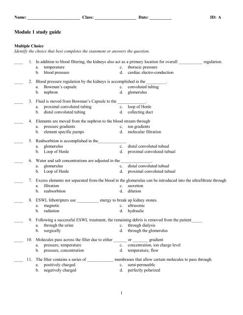 ExamView - module 1 study guide.tst