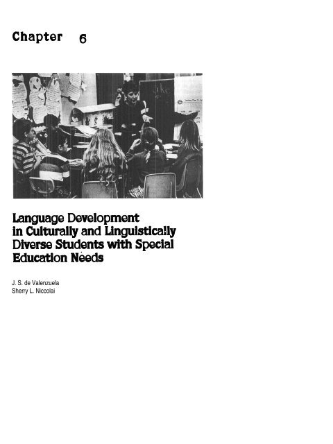 Language Diversity in Students with Special Education Needs