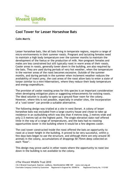 Cool Tower for lesser horseshoe bats - The Vincent Wildlife Trust