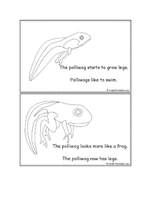 Frog Life Cycle Emergent Reader - Kinder Printables