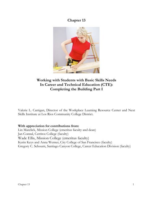 Chapter 13 - Basic Skills Initiative