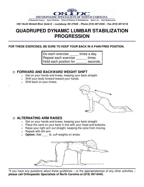 quadruped dynamic lumbar stabilization progression - Orthopaedic ...