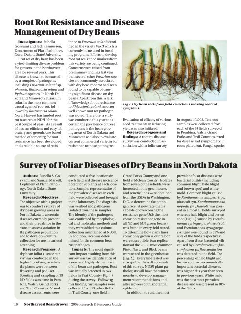 Root Rot Resistance and Disease Management of Dry Beans ...