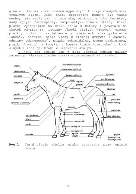 głowie i tułowiu, ew. z
