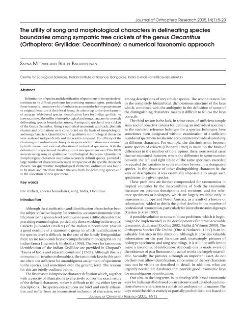 The utility of song and morphological characters in delineating ...