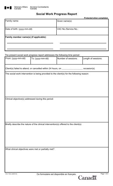 Social Work Progress Report