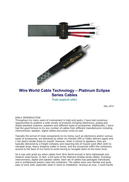 Wire World Cable Technology â Platinum Eclipse ... - DSM Audio