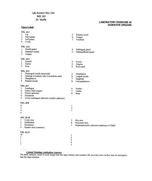 Lab Answer Key 12a