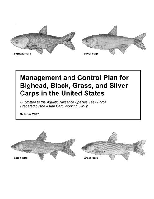 Asian Carp Control Plan - Asian Carp Regional Coordinating ...