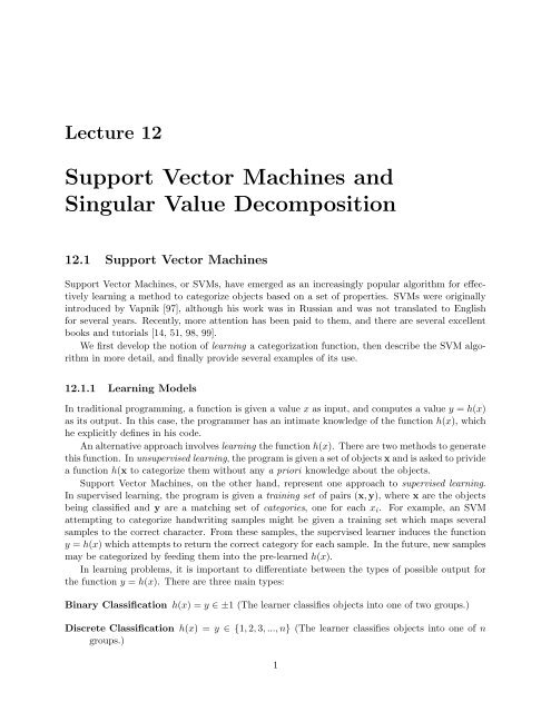Support Vector Machines and Singular Value Decomposition