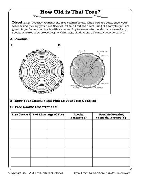 TreeCookieActivity.cwk (WP)