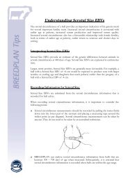Interpreting BREEDPLAN EB