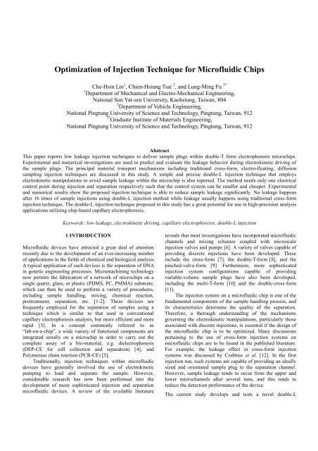 Optimization of Injection Technique for Microfluidic Chips