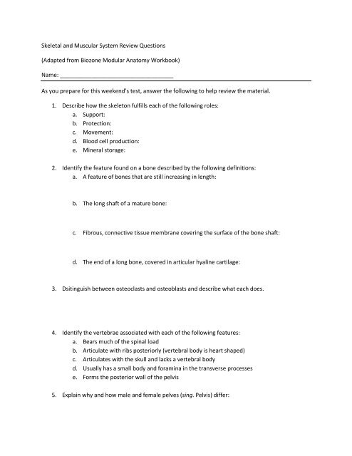Skeletal And Muscular System Review Questions Adapted From 