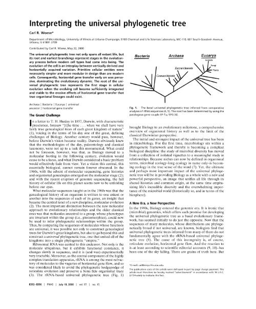 Interpreting the universal phylogenetic tree