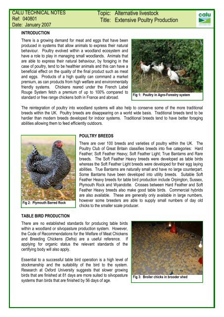Extensive Poultry Production - Centre for Alternative Land Use (CALU)