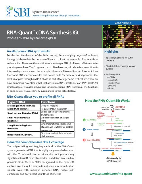 RNA-Quantâ ¢ cDNA Synthesis Kit - System Biosciences