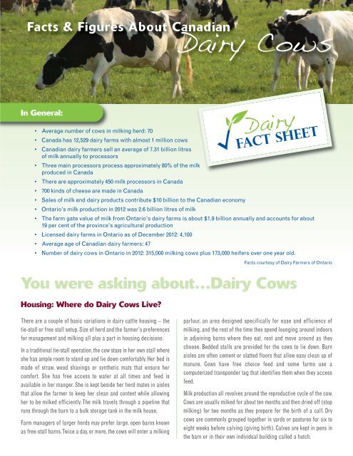 19 Fun Facts About Dairy Cows Factsnet
