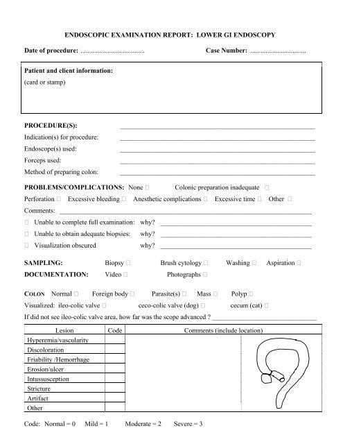 Lower GI Endoscopy Report Form - WSAVA