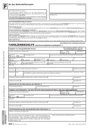 Ausfüllhilfe zu Beih 38... - Wildalpen