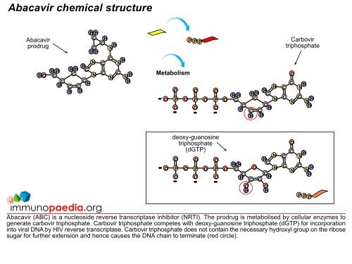Abacavir chemical structure - Immunopaedia