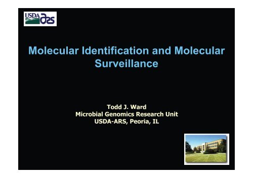 Molecular Identification and Molecular Surveillance