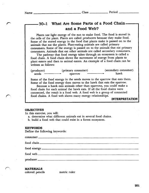 Food Chain Worksheet 1 A