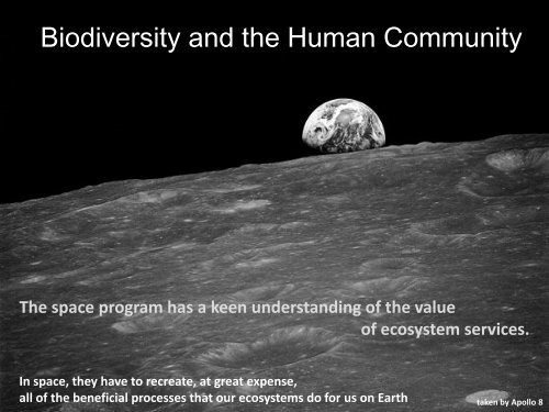 Biodiversity and the Human Community