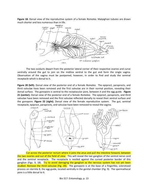 Figure 16 (left). The tes