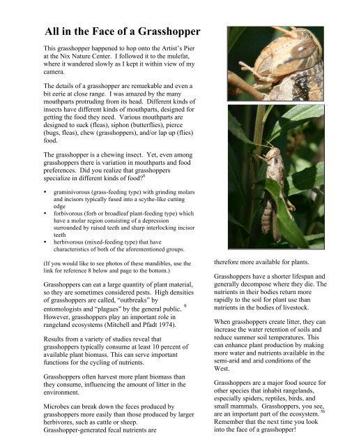 What Grasshopper Mouthparts Do