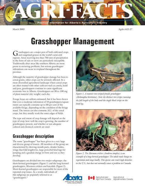Grasshopper Management.pmd - Agriculture and Rural Development