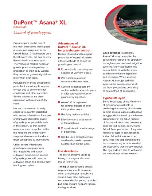 DuPont Asana XL insecticide - Control of grasshoppers