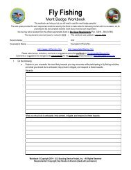 Eagle Rank - US Scouting Service Project