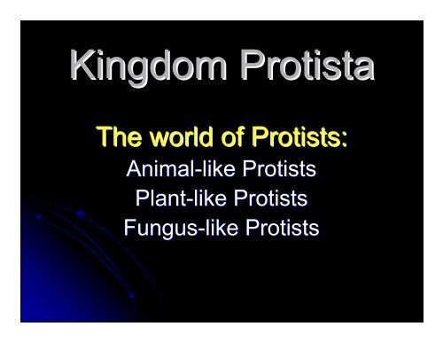 Cool Protista