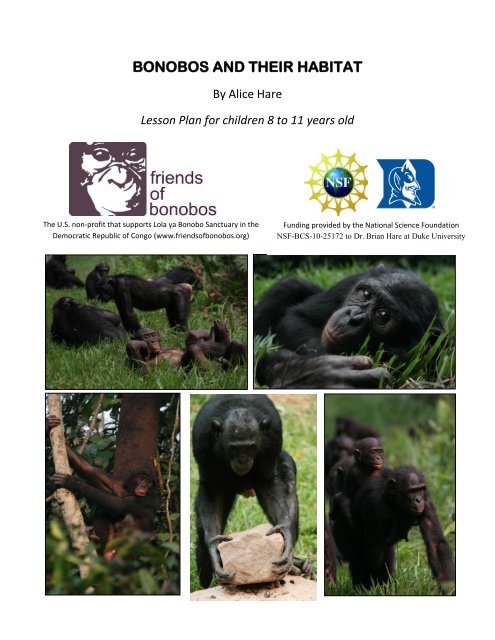 BONOBOS AND THEIR HABITAT - Friends of Bonobos