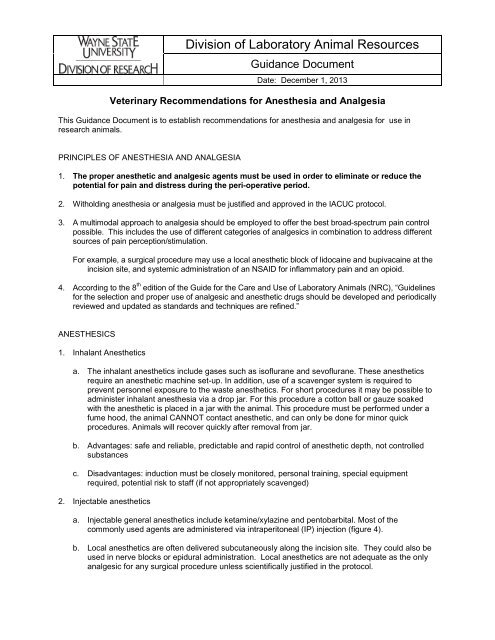 Veterinary Recommendations for Anesthesia and Analgesia