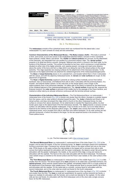 The Lesser Multangular Bo