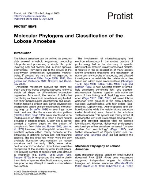 pdf - Molecular Phylogeny and Classification of the Lobose Amoebae