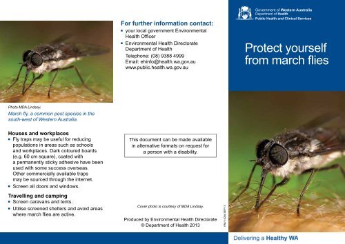 Protect Yourself from March Flies (PDF 235 KB)