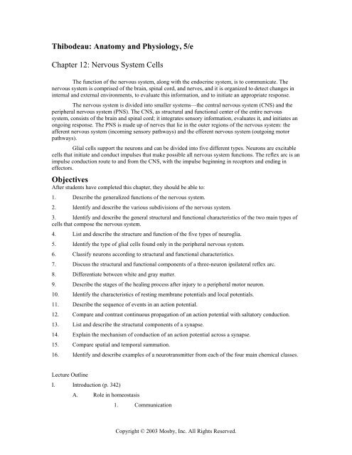 Chapter 12: Nervous System Cells