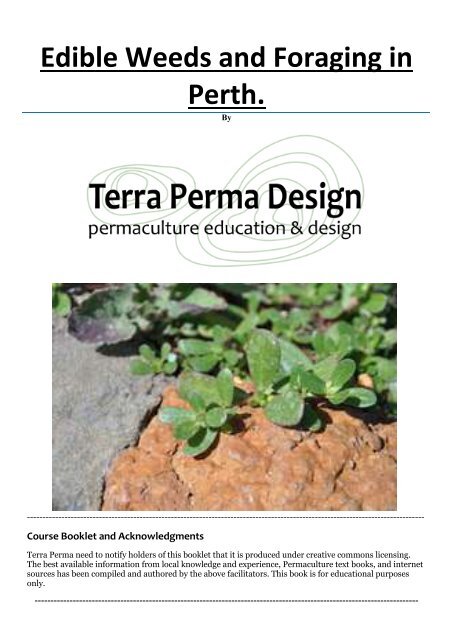 Perth Edible Weeds and Foraging Guide - Terra Perma