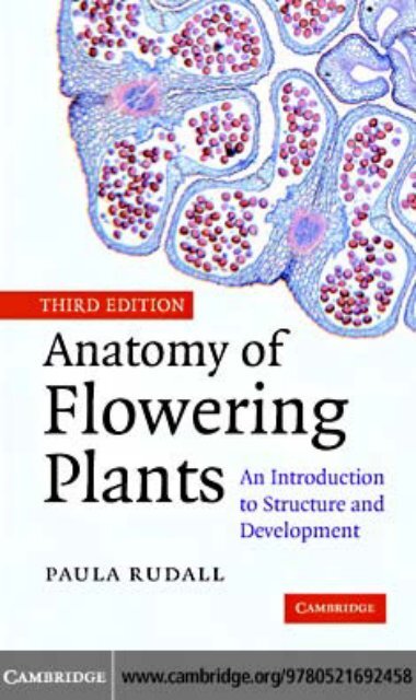 Anatomy of Flowering Plants: An Introduction to Structure and ...