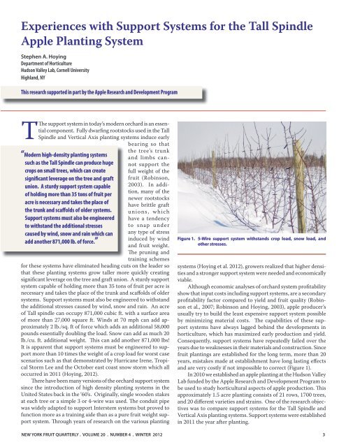 1.Experiences with Support Systems for the Tall Spindle Apple ...