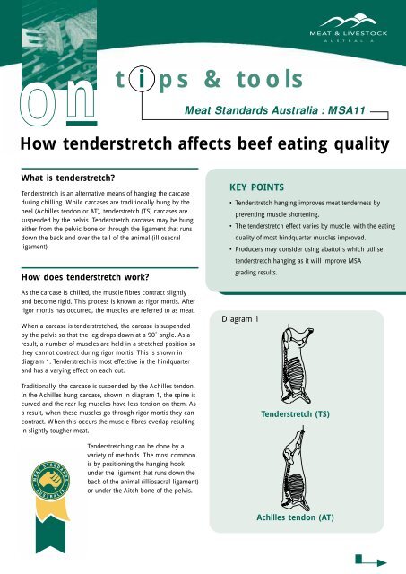 How tenderstretch affects beef eating quality - Shorthorn Society of ...