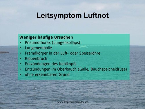Leitsymptom LuftnotWenige