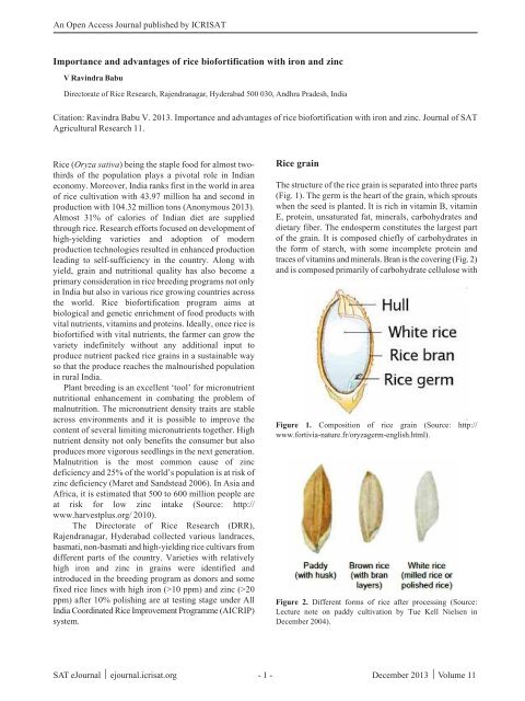 Importance and advantages of rice biofortification with iron and zinc ...