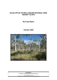 Nammuldi-Silvergrass Expansion Project Public ... - Rio Tinto Iron Ore