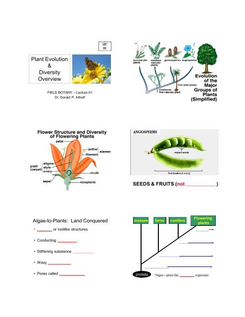 Plant Evolution & Diversity Overview