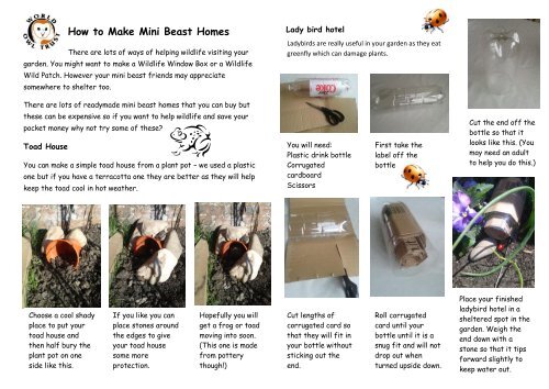 How to Make Mini Beast Homes